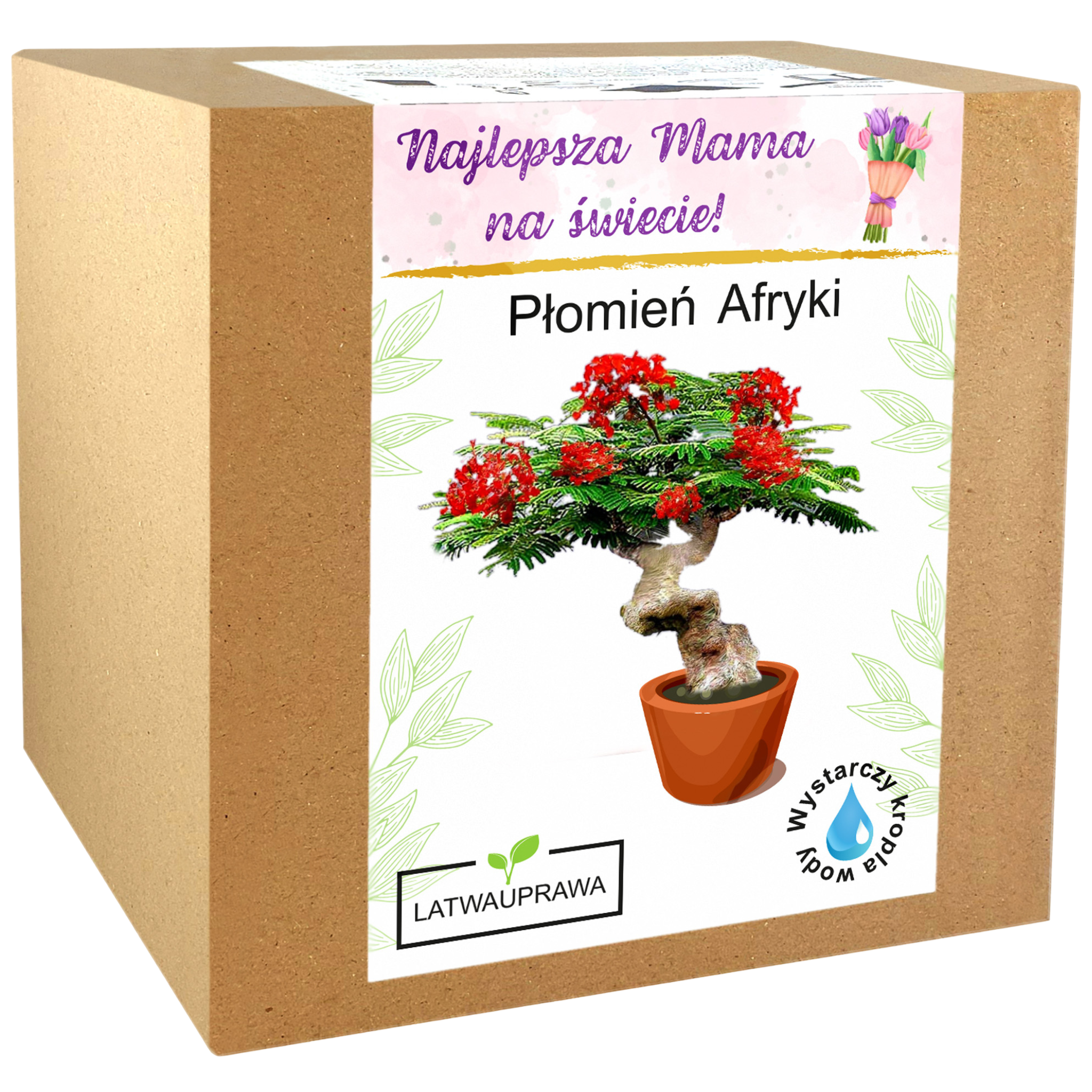 plomien_afryki_-_najlepsza_mama_na_swiecie.png?v=1760434546